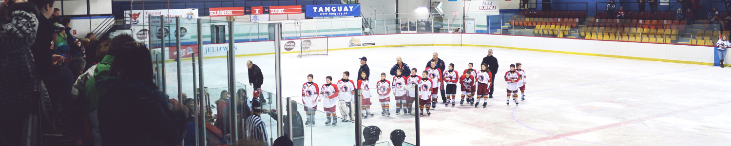 Arena - Municipalité de Saint-Agapit